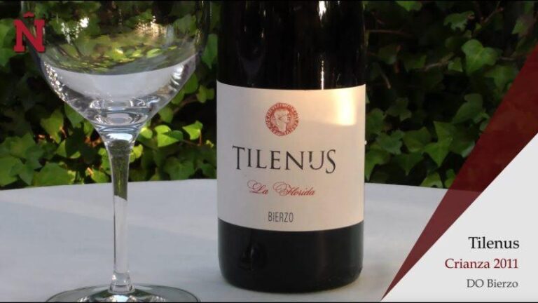 Bodegas Estefanía: Descubre los secretos del vino de calidad ...