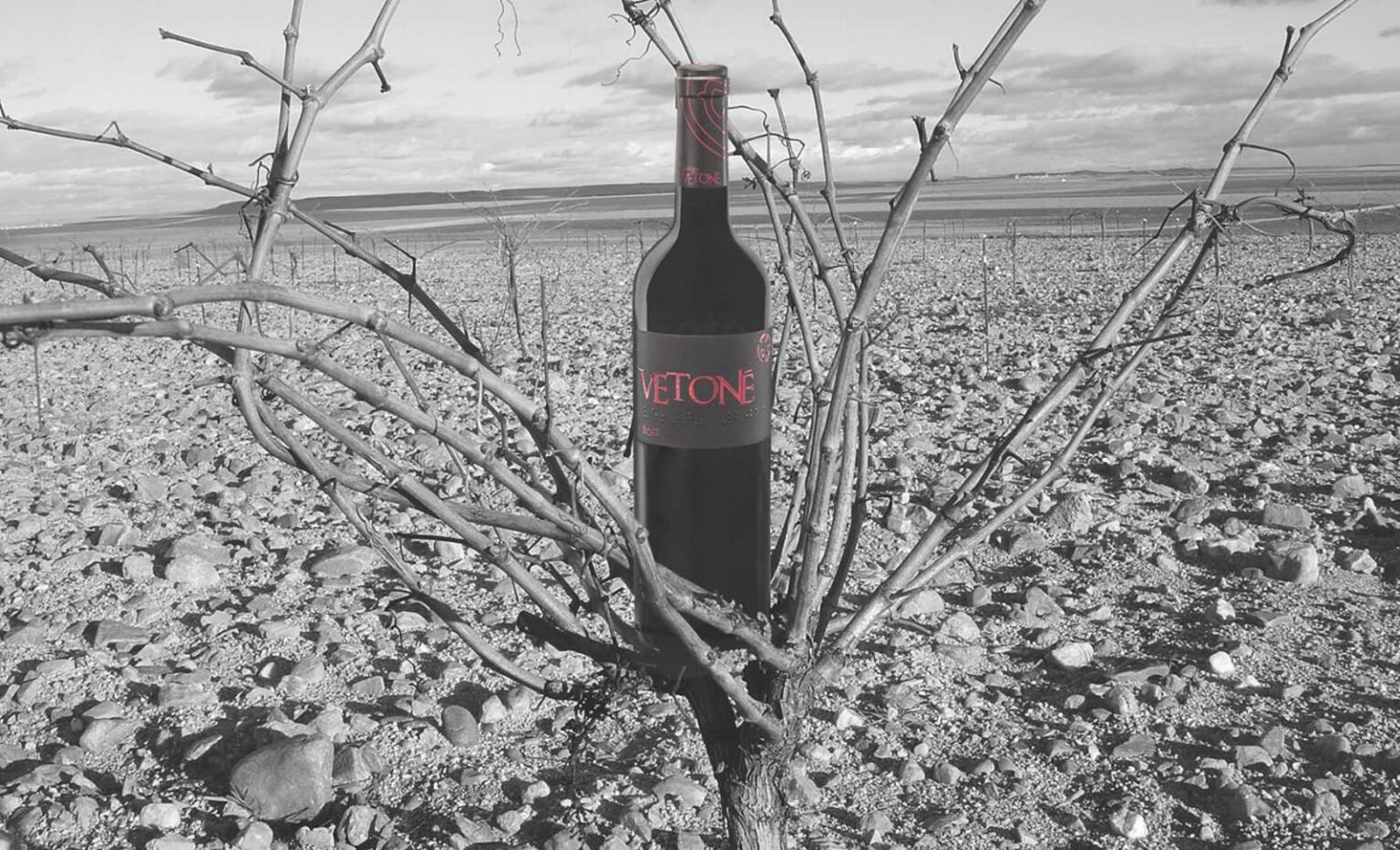 Bodegas Vetoné: El sabor de la Tierra de Castilla y León en cada sorbo ...