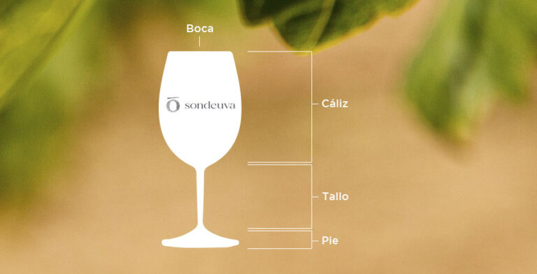 Conoce el nombre correcto de la copa de champagne | VINOTECAVIRTUAL