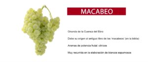 Conoce todo sobre el vino Macabeo: Origen, características y maridajes ...