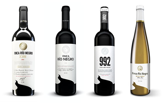 Explora los vinos únicos de Bodegas Vetus | VINOTECAVIRTUAL