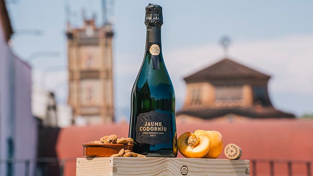 Significado del cava Brut Nature: todo lo que necesitas saber ...