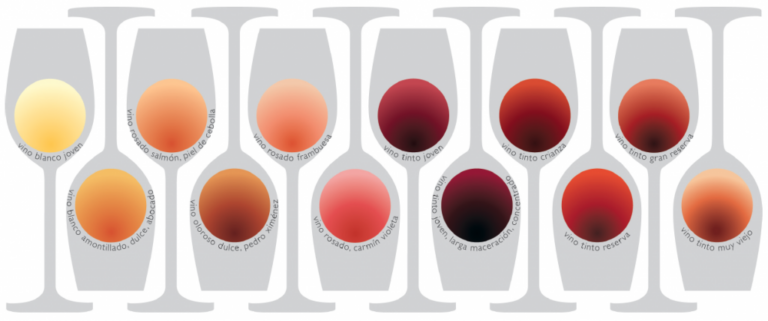 Guía completa de los significados de los colores de las etiquetas de ...