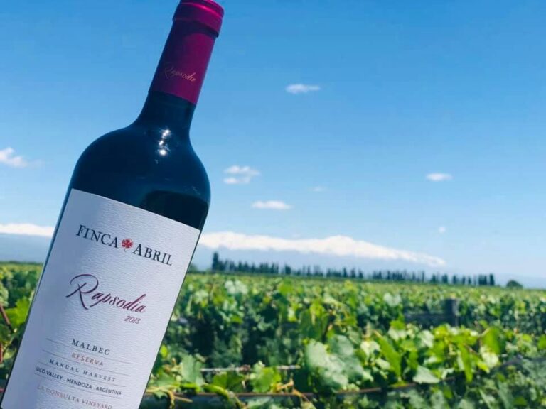 Terrazas de los Andes: Exquisitos vinos inspirados en los majestuosos ...