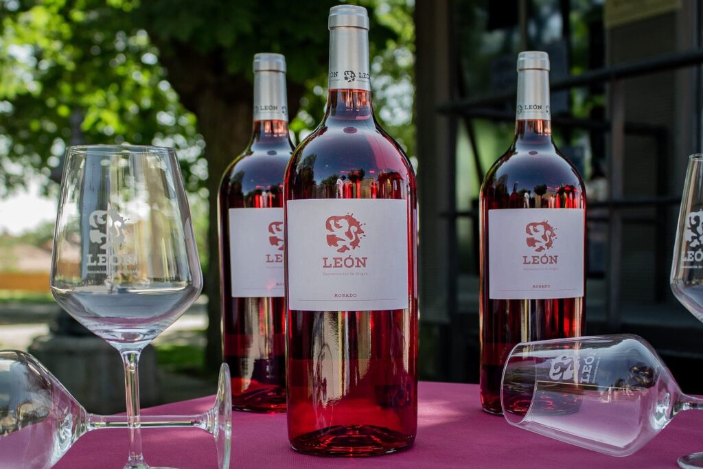 Todo lo que debes saber sobre el vino Prieto Picudo | vinotecavirtual