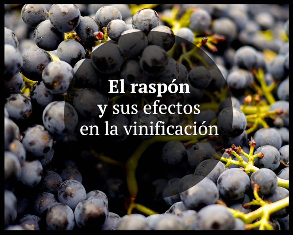 Todo lo que necesitas saber sobre el raspon en el vino | VINOTECAVIRTUAL